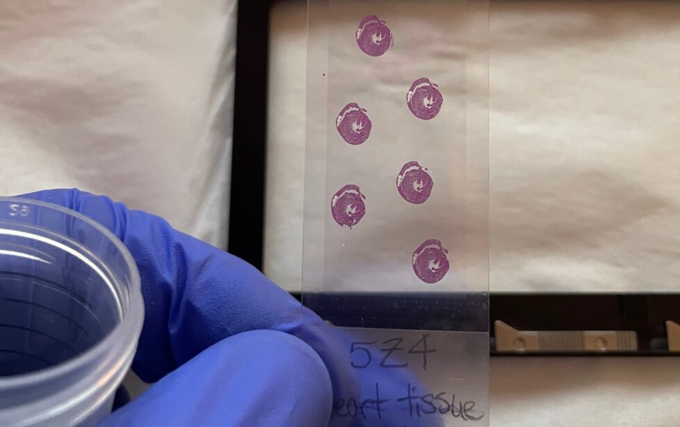 Approved Projects | HALRIC